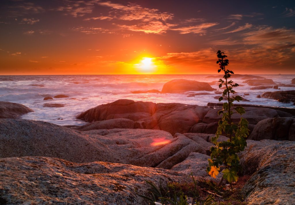 Climate coaching: working together to change our legacy | Eve Turner ...